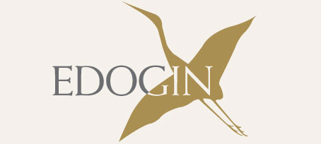 Edogin